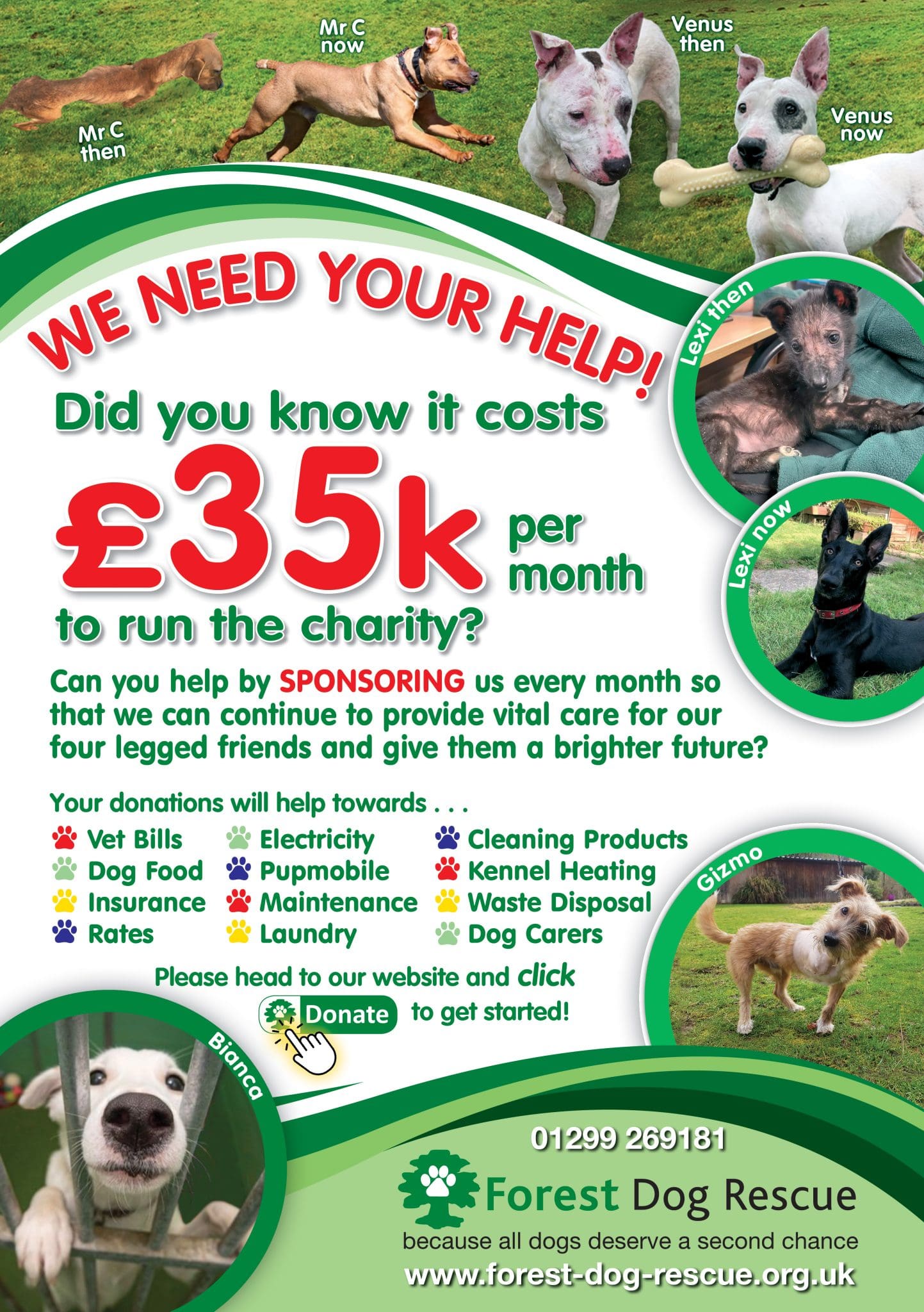 Home - Forest Dog Rescue